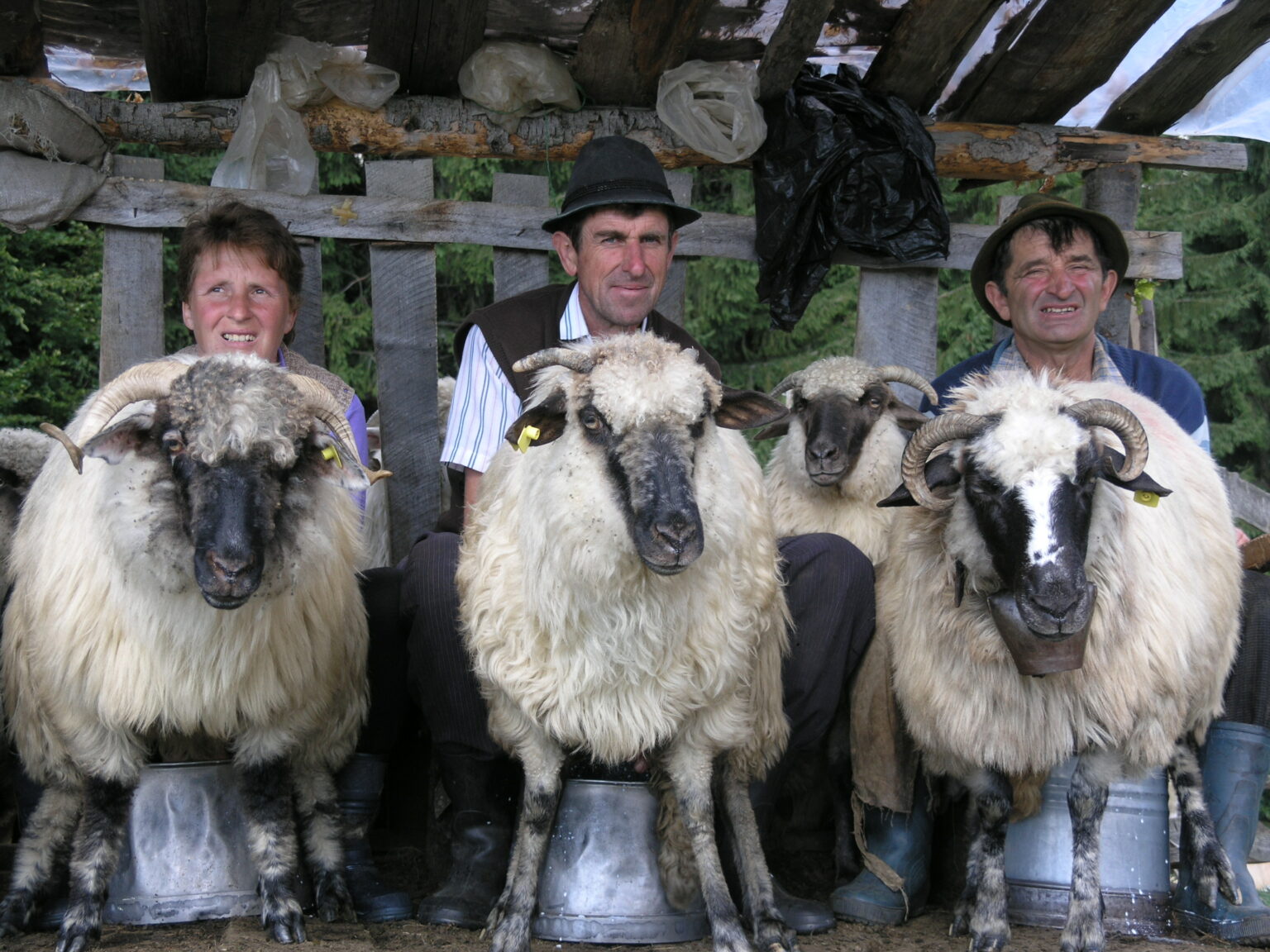 The Carpathians from a Cultural Heritage Point of View